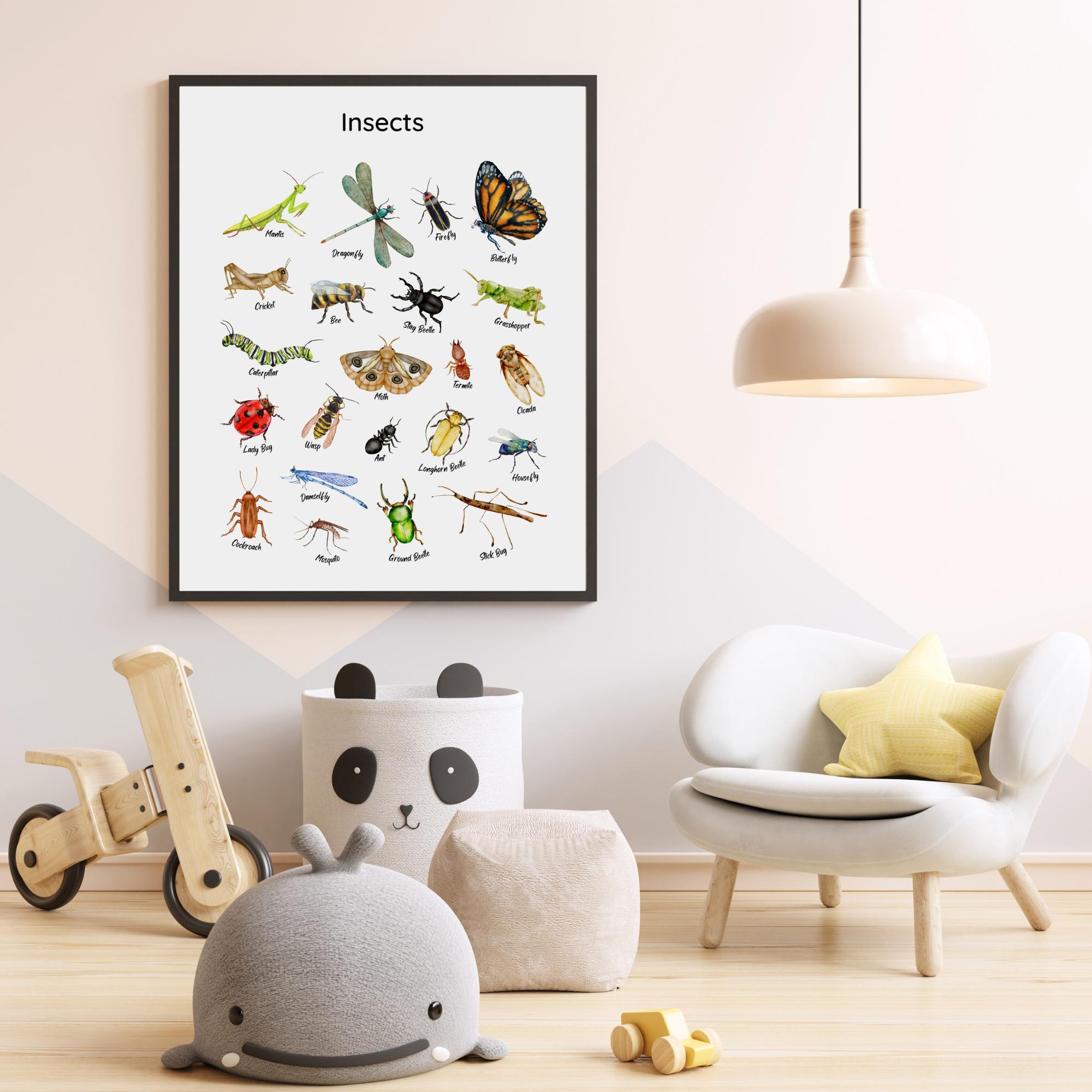 Insects Educational Posters Bugs Chart Classroom Decor Montessori ...