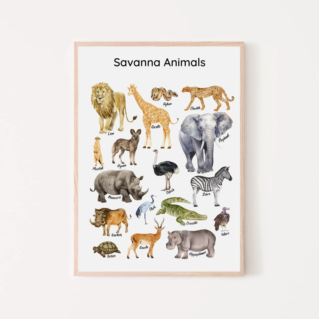 Savanna Animals Educational Poster African Animals Chart Classroom ...