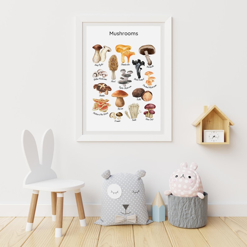 Mushroom Educational Poster Printable Fungi Food Chart Kitchen Artwork ...