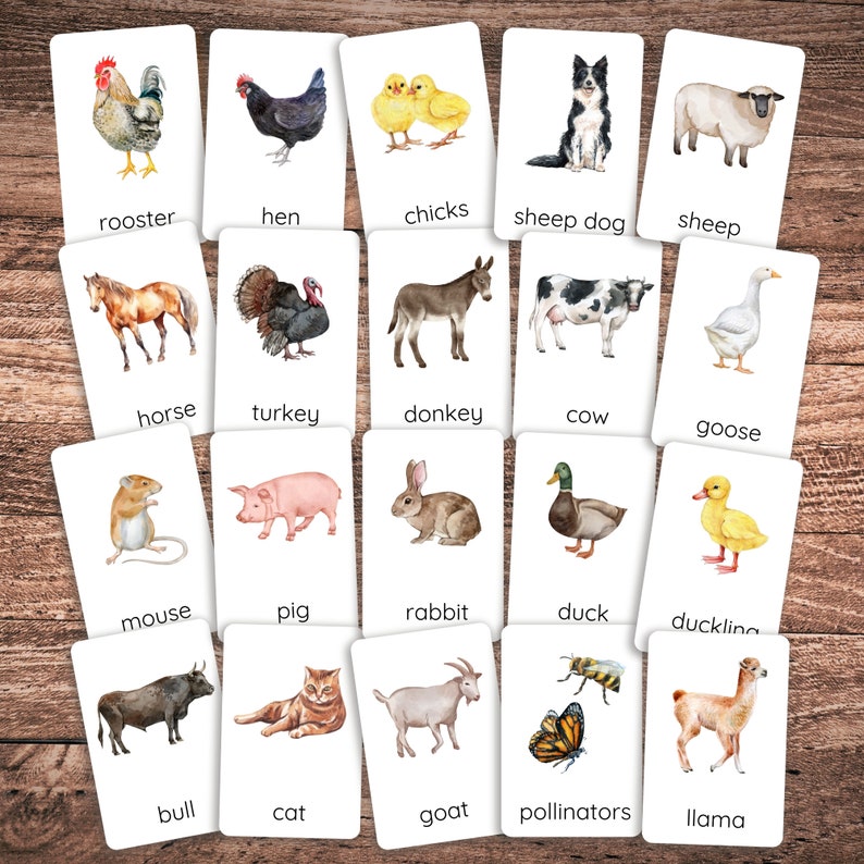 Farm Animals Nomenclature Cards Set of 20, Montessori 3 Part Cards ...