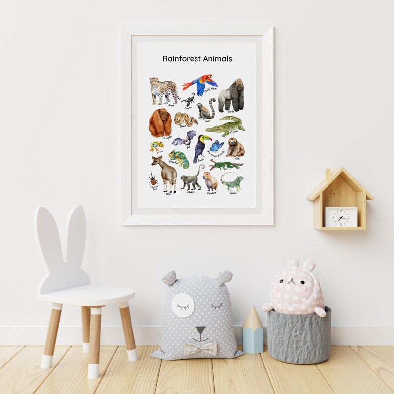 Rainforest Animals Poster Jungle Animal Chart Educational Classroom ...
