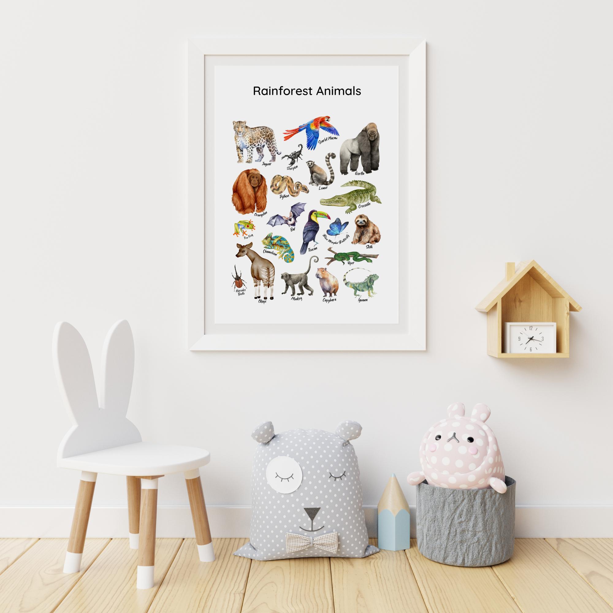 Rainforest Animals Poster Jungle Animal Chart Educational Classroom ...