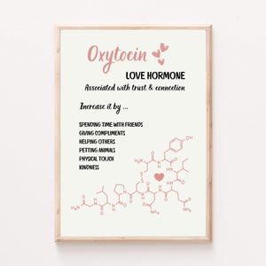 Happiness Hormones Happy Chemicals Set of 4 Posters Mental Health Wall ...