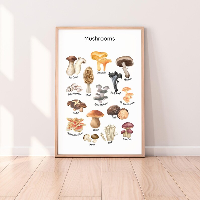 Mushroom Educational Poster Printable Fungi Food Chart Kitchen Artwork ...