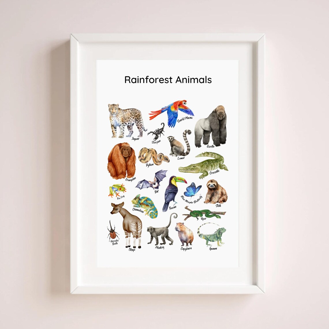 Rainforest Animals Poster Jungle Animal Chart Educational Classroom ...