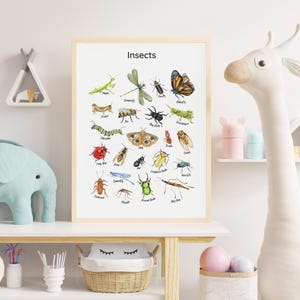 Insects Educational Posters Bugs Chart Classroom Decor Montessori ...