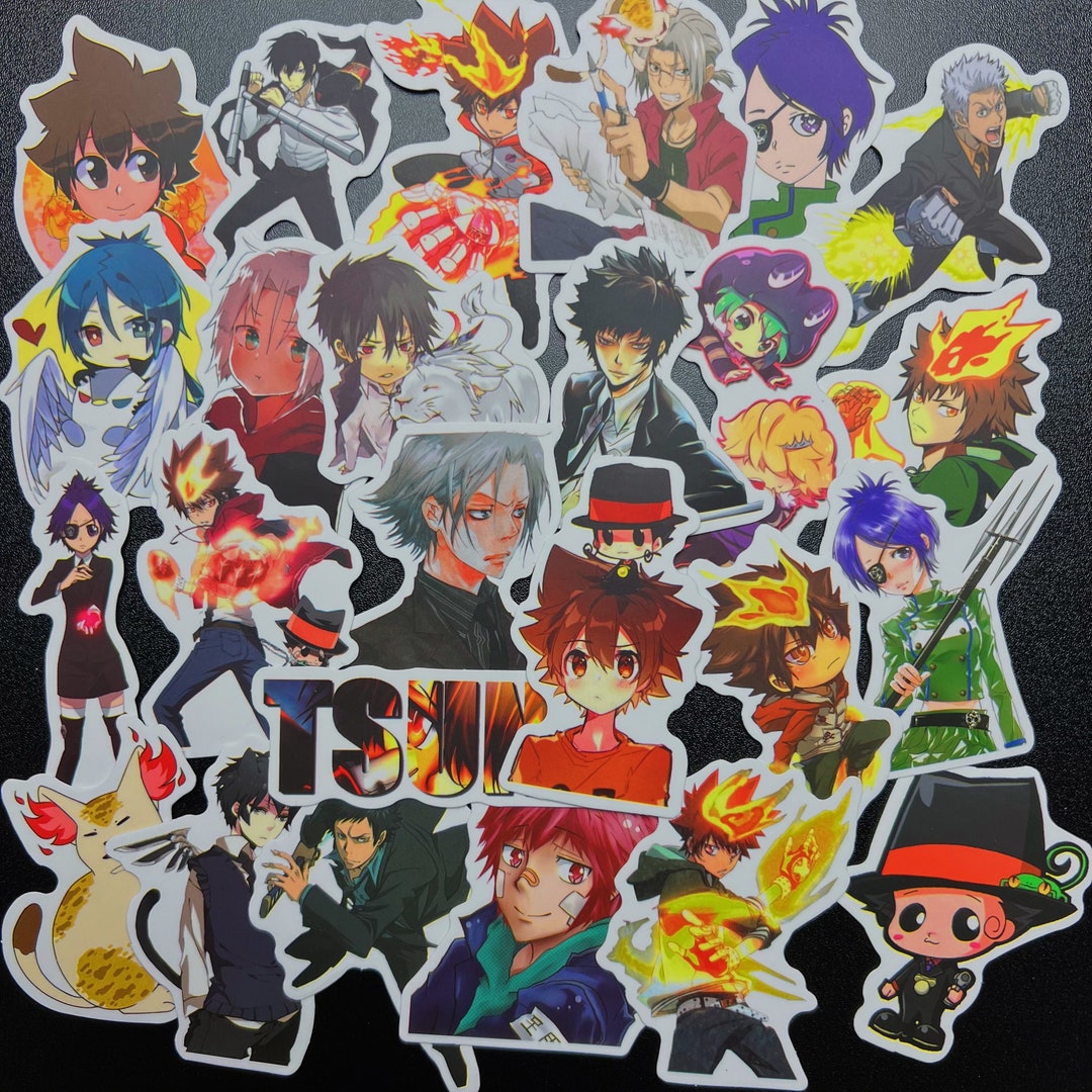 Reborn Stickers, 1-50 Assorted Reborn Stickers, Waterproof Anime Vinyl ...