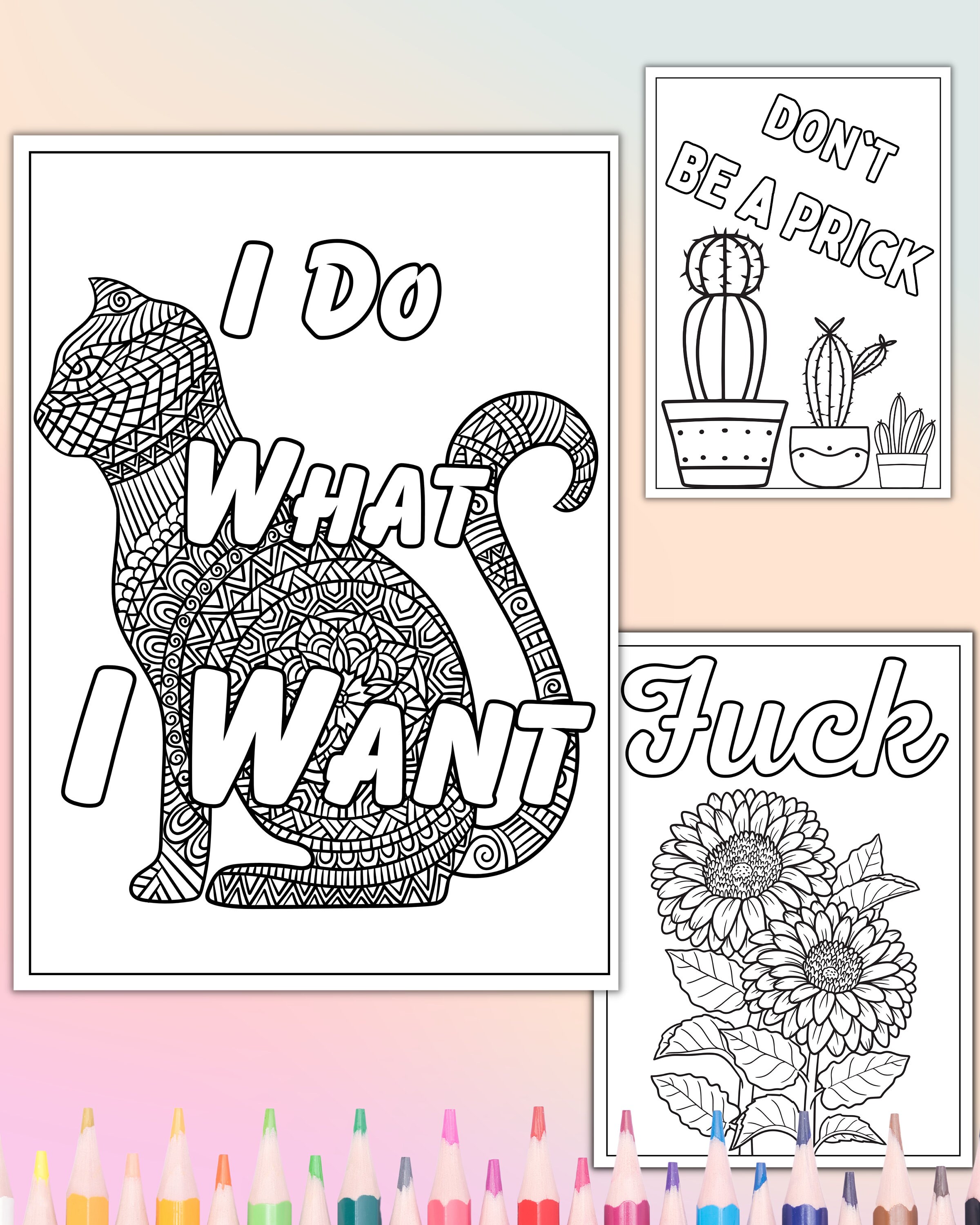 Funny Adult Colouring Pages A4 Printable Sassy Colouring in - Etsy