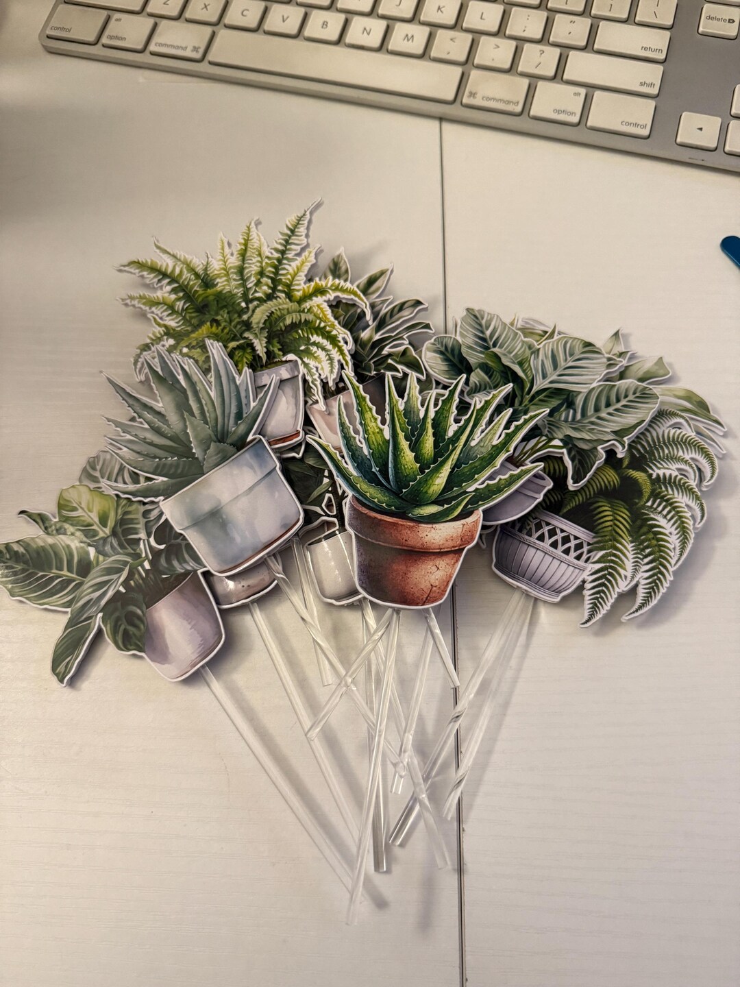 Houseplant Cupcake Toppers 12 Pack | Potted Plant Party Decor | Plant ...
