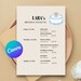Birthday Cake Weekend Itinerary Template Canva Planner Digital Download ...