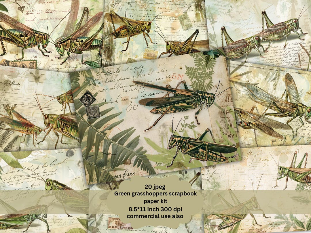 Vintage Grasshopper Junk Journal Pages, Digital Scrapbook Paper Kit ...