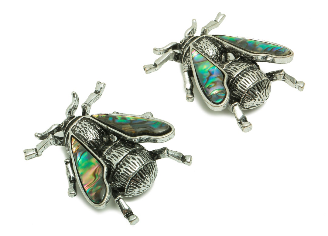 Mother of Pearl Beetle Brooch / Abalone Shell Insect Pendant / Silver ...