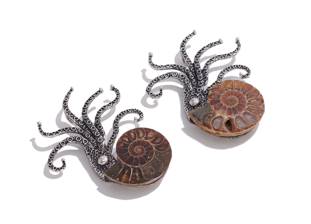 Natural Spotted Snail Fossil Brooch / Alloy Octopus Pendant / Silver ...