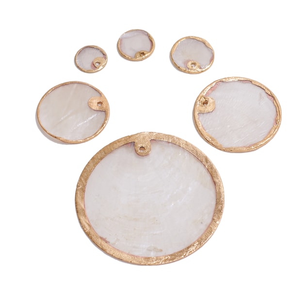 Natural Seashells - Etsy