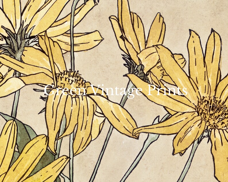 Sunflowers Hannah Borger Overbeck Vintage Wall Art Prints Digital 085 ...