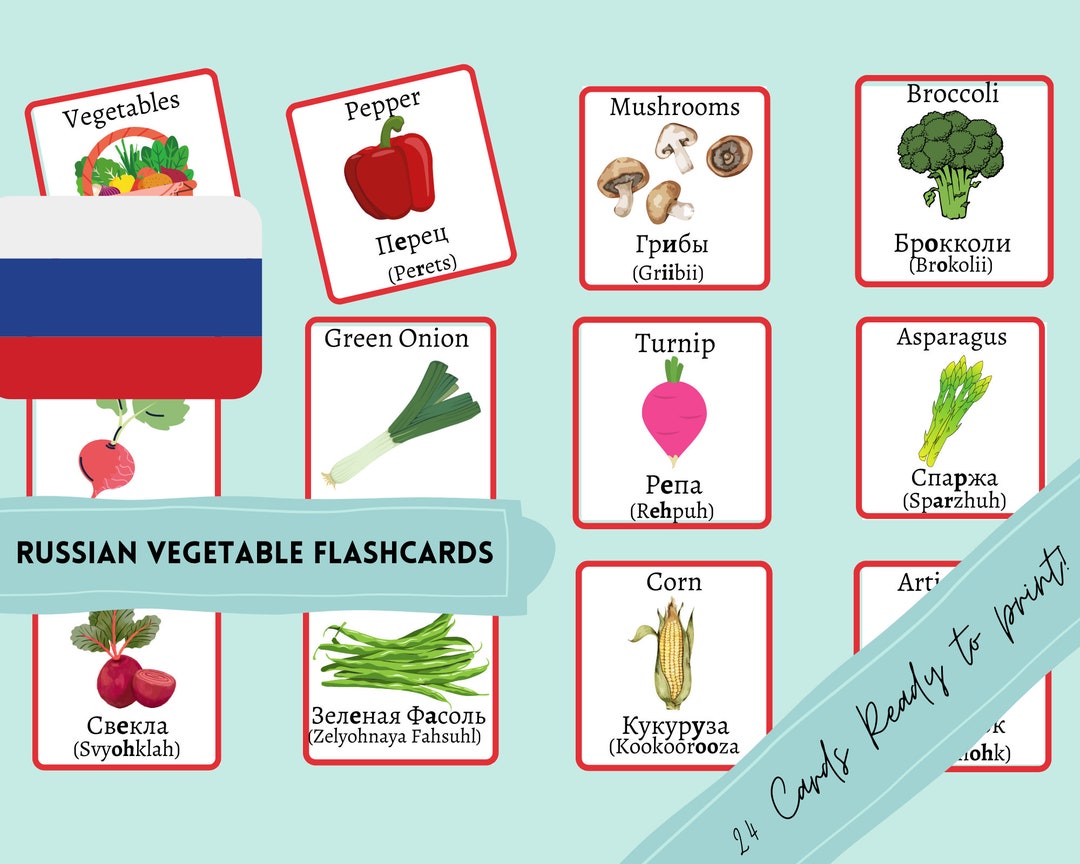 Flashcards Russian Vegetable Cards - Etsy