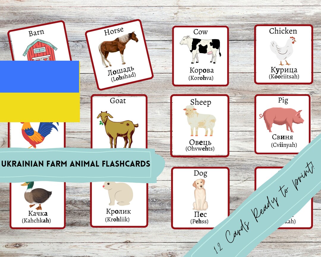 Flashcards - Ukrainian Farm Animal Cards - Etsy
