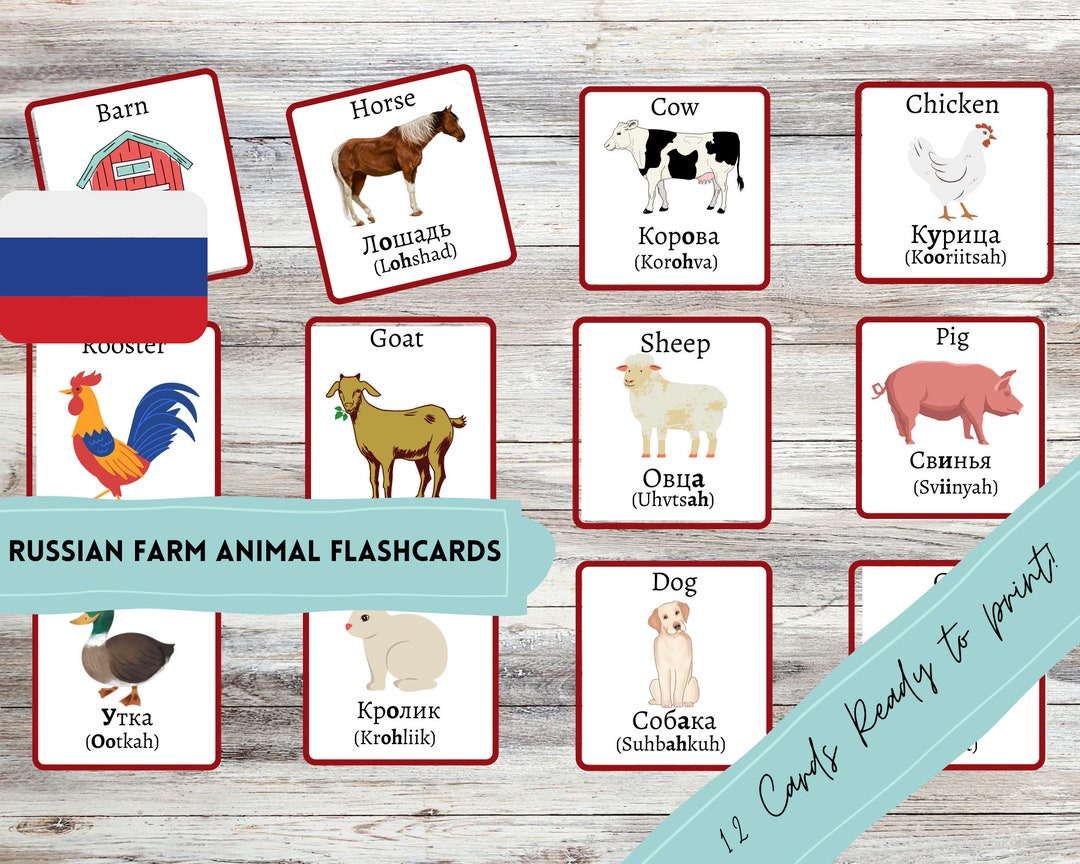 Flashcards Russian Farm Animal Cards - Etsy