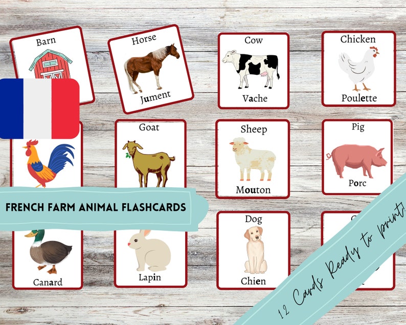 Flashcards French Farm Animal Cards - Etsy