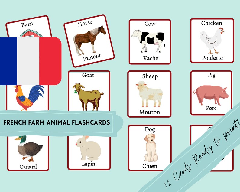Flashcards French Farm Animal Cards - Etsy