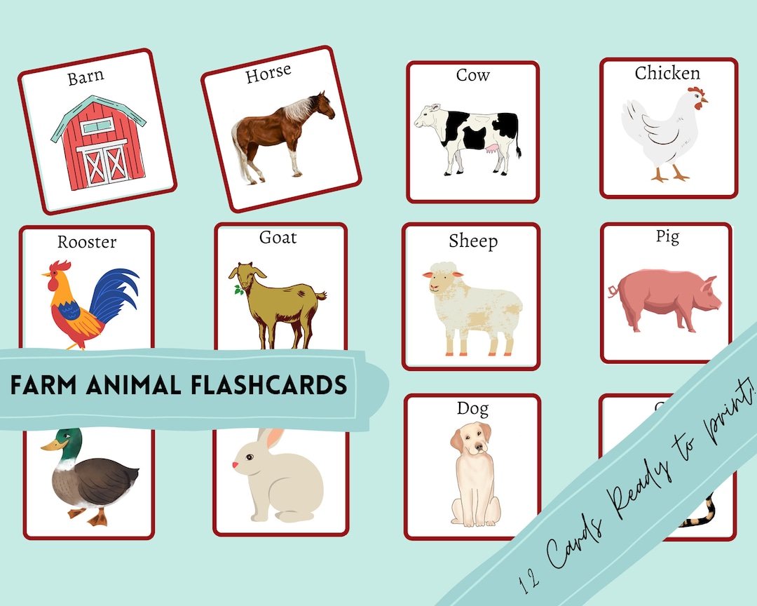 Flashcards Farm Animal Cards - Etsy