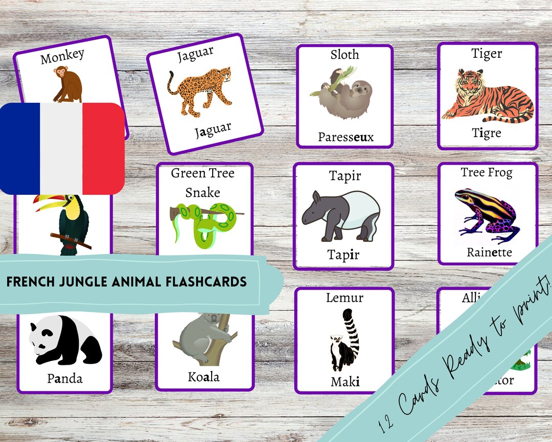 Flashcards French Jungle Animal Flash Cards - Etsy