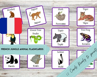 14 Educational Spanish Farm Animal Flash Cards Learn Spanish - Etsy