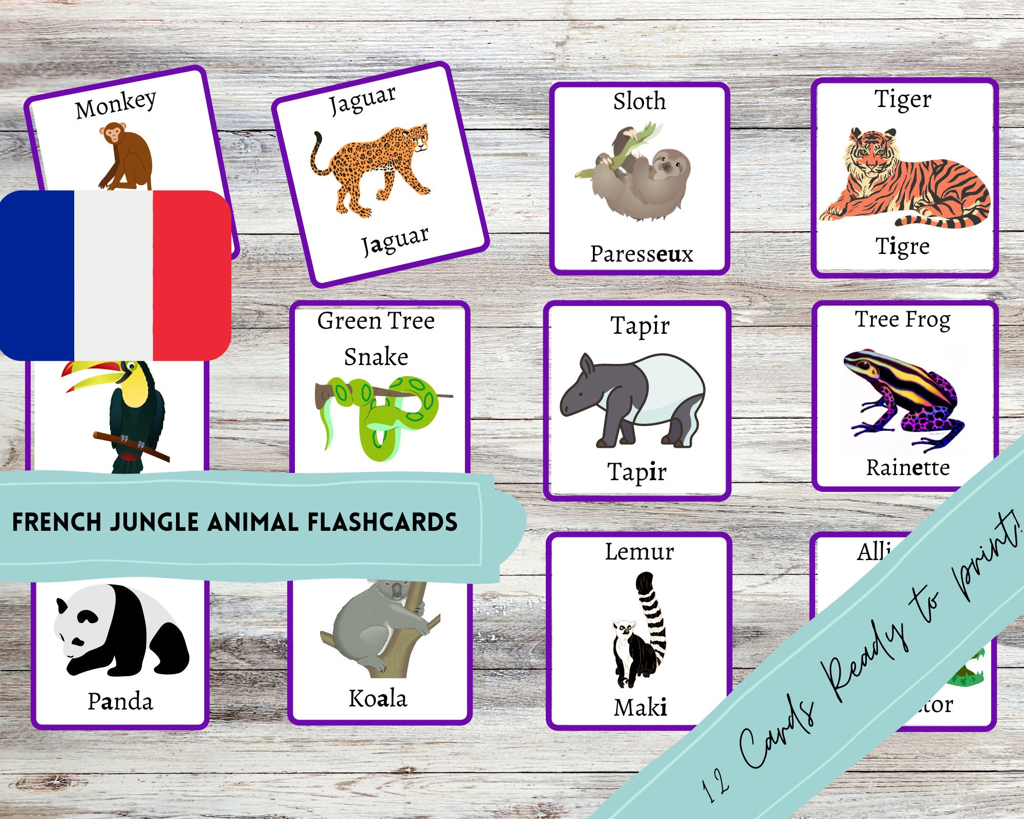 Flashcards French Jungle Animal Flash Cards - Etsy