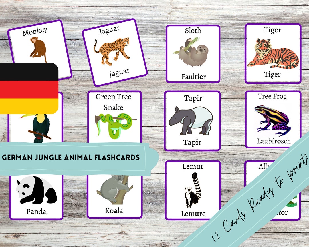 Flashcards German Jungle Animal Flash Cards - Etsy