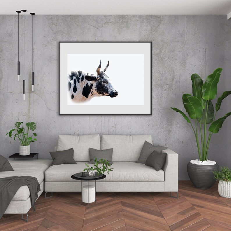 Cow, Digital Wall Art, White Background, Nguni Cow, Zulu Culture, Print ...