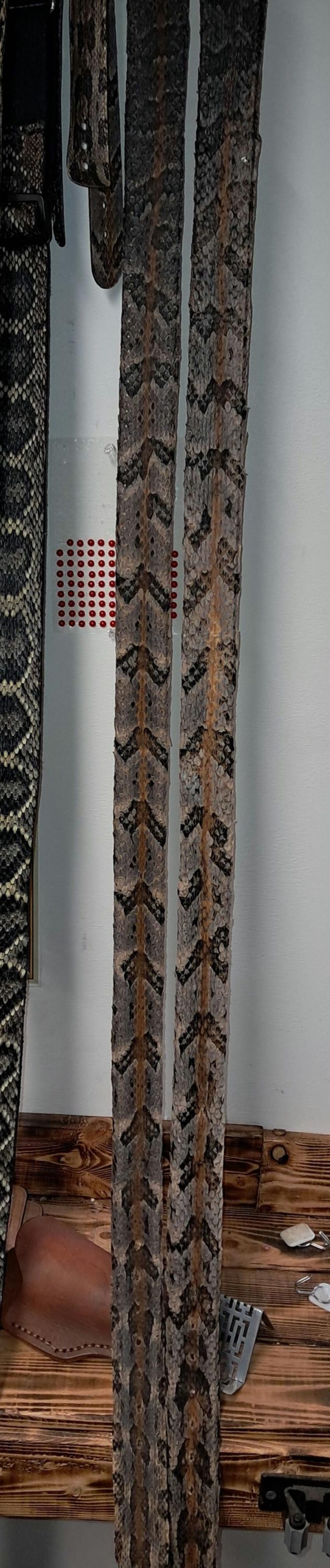 Timber Rattlesnake Skin Covered Leather Belt . Upto 44 - Etsy