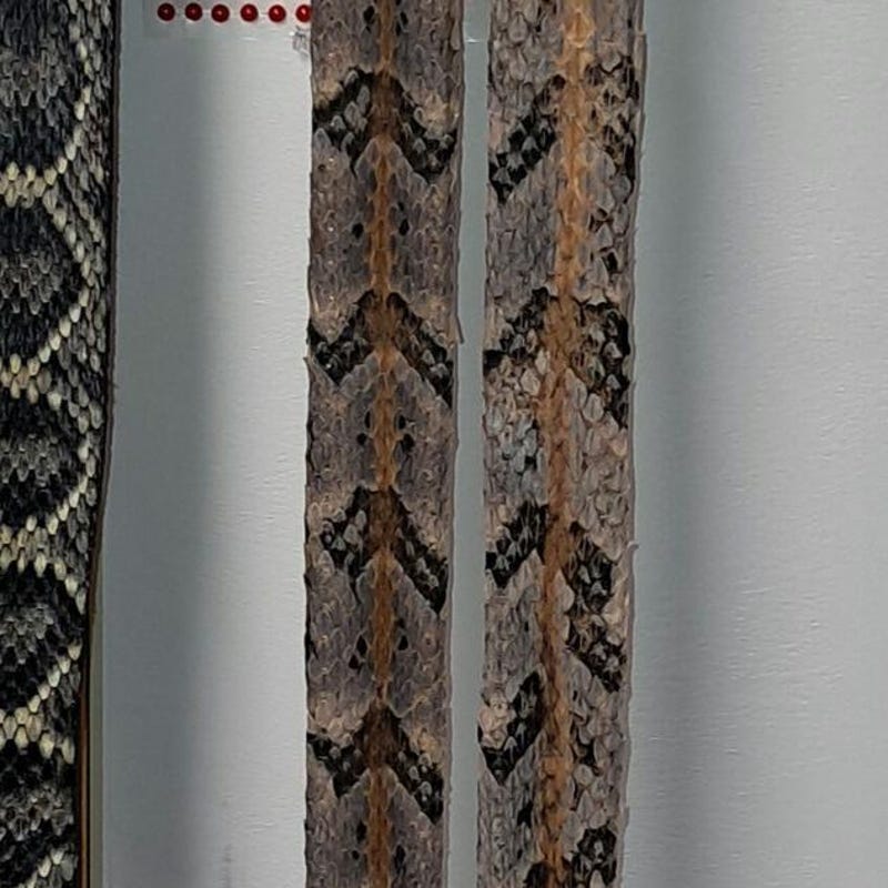 Rattlesnake Skin - Etsy