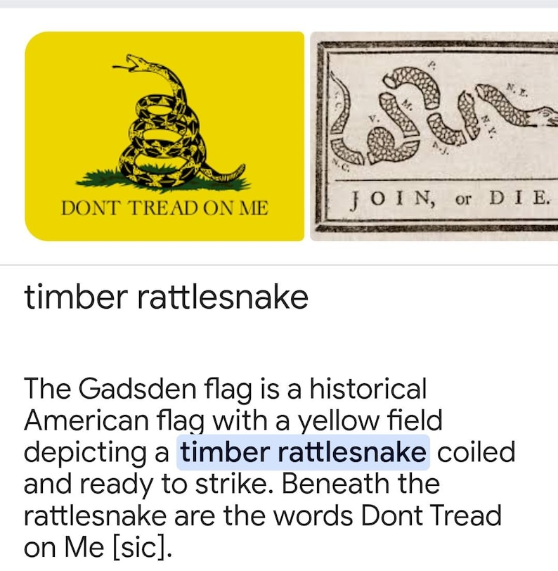 Timber or Canebreak Rattlesnake Covered Leather Hat Band - Etsy