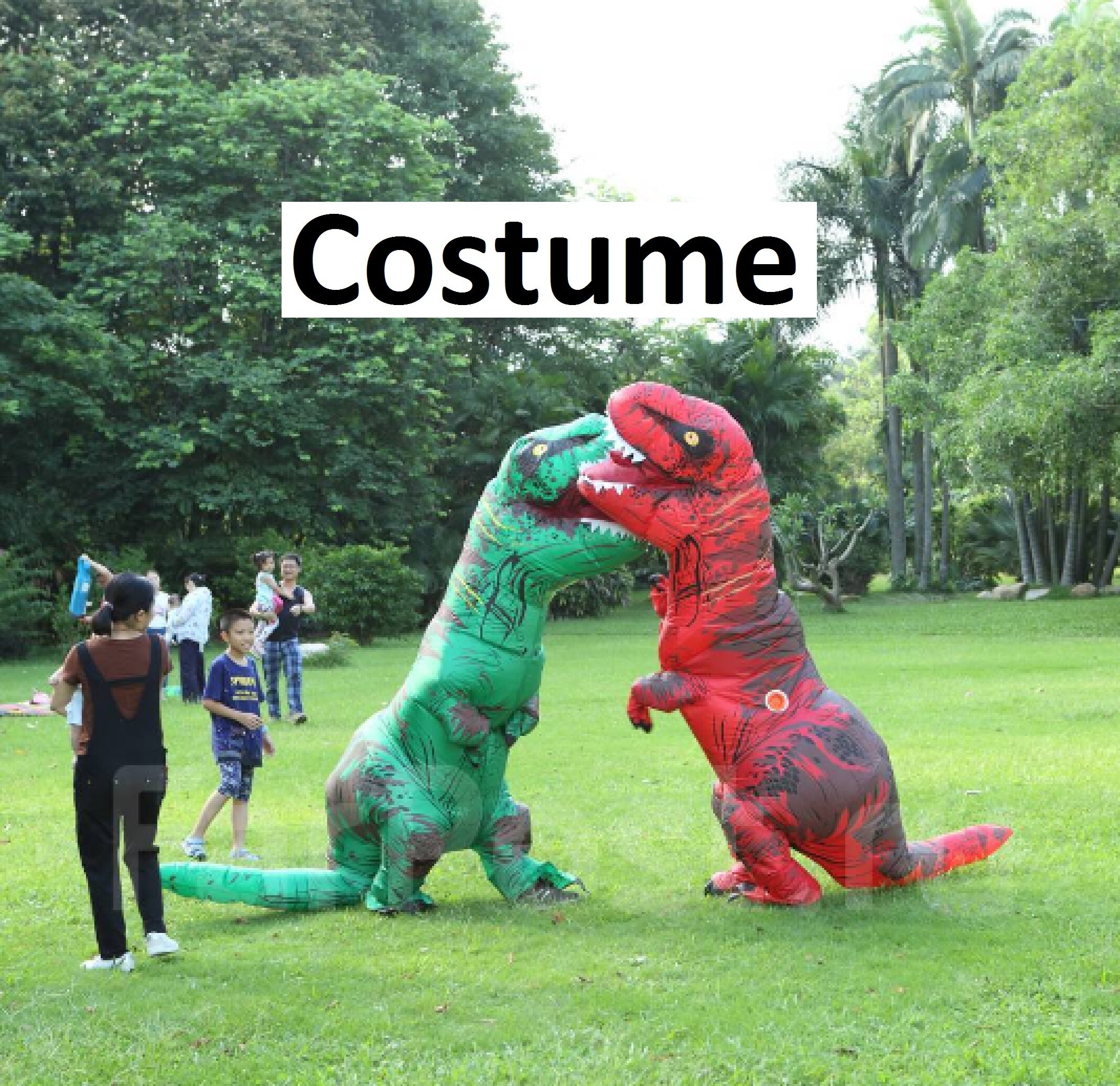 Dinosaur Costume for Carnival. Cosplay Clothing. Inflatable Costume for ...