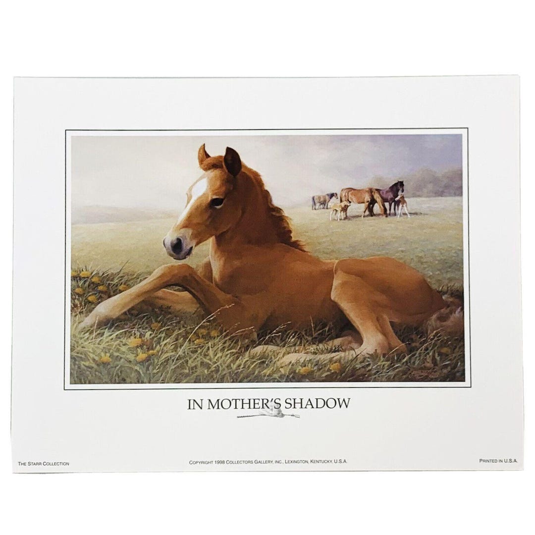 James L Crow Art Print in Mothers Shadow Horse Foal Starr Collection 7 ...