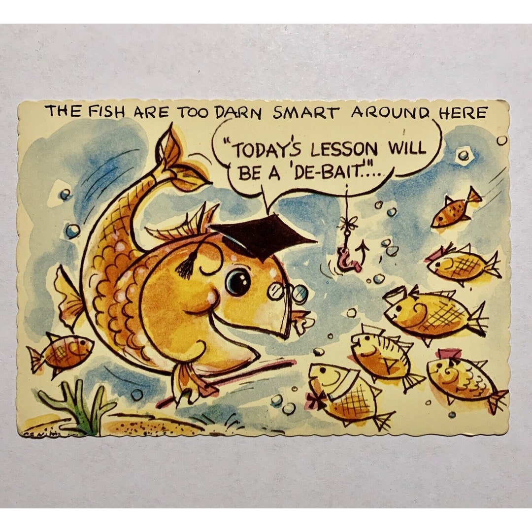 Fishing Comic Humor Postcard the Fish Are Too Darn Smart Around Here - Etsy
