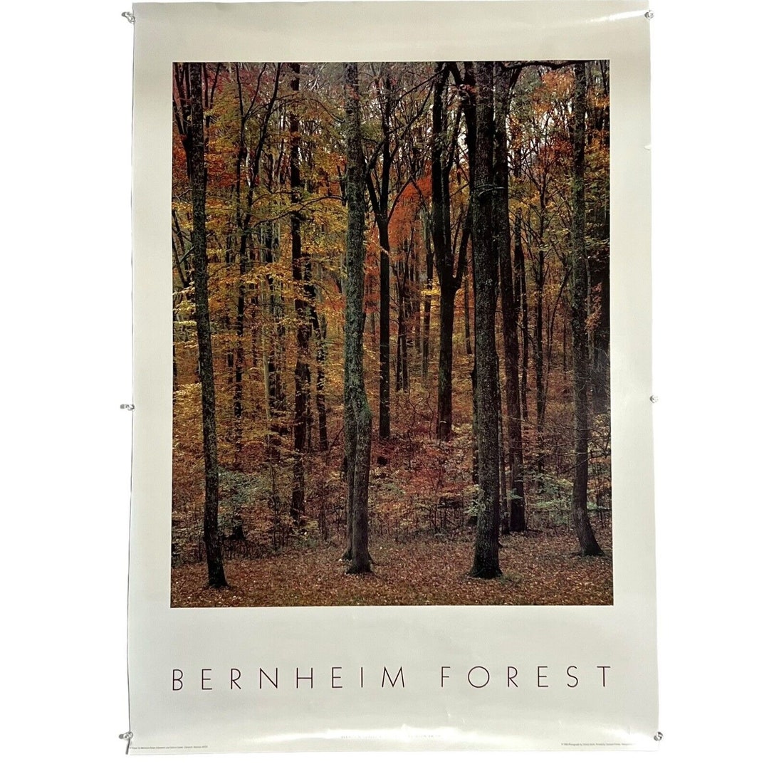 Vintage 1985 Bernheim Forest Arboretum Clermont Ky Poster Clinton Smith ...