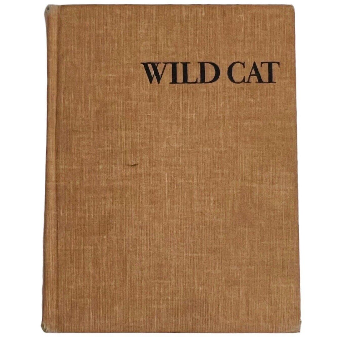 Wild Cat Robert Newton Peck Illustrated Hal Frenck HB Vtg 1970's 1st ...