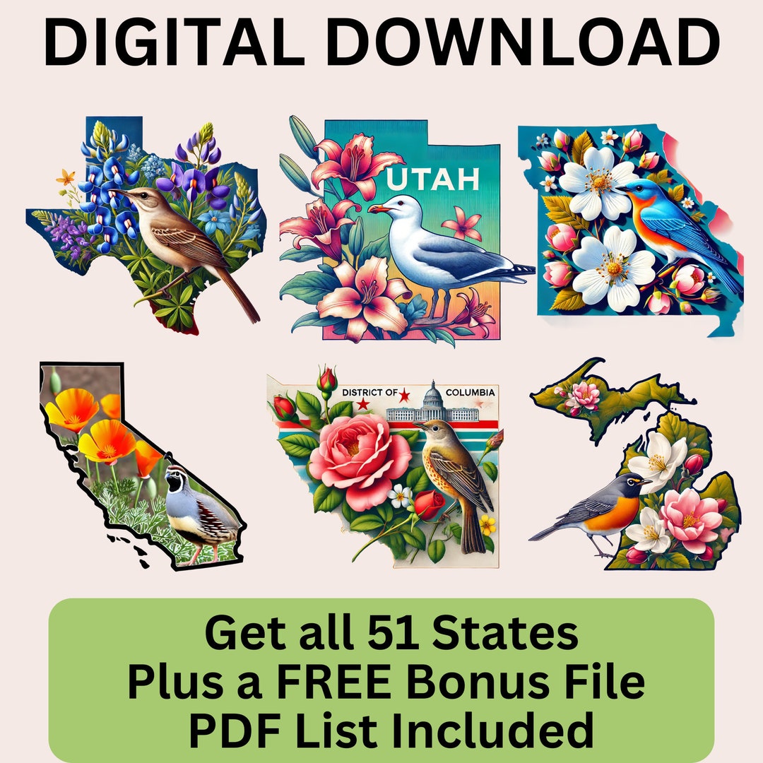 50 States Birds and Flowers Png Bundle, United States, State Outline ...