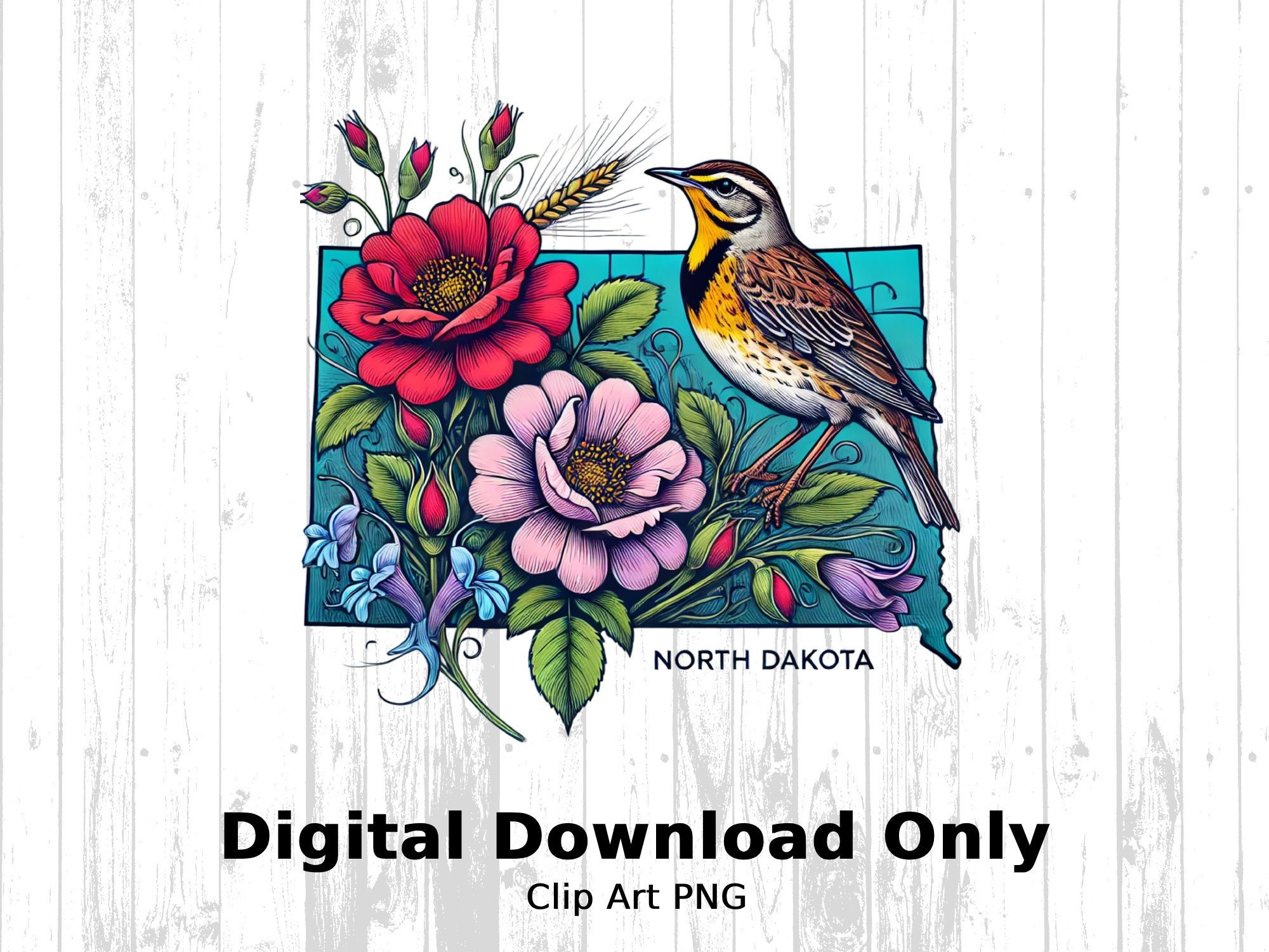 50 States Birds and Flowers Png Bundle, United States, State Outline ...