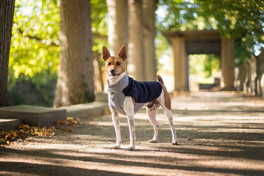 Merino Wool Dog Coat - Etsy
