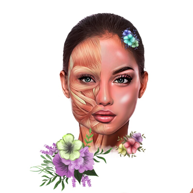 No Labels Muscles of the Face - Etsy