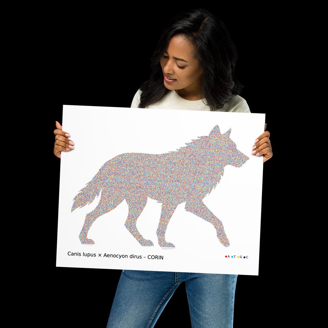 Echo of the Dire Wolf – CORIN RNA - Etsy