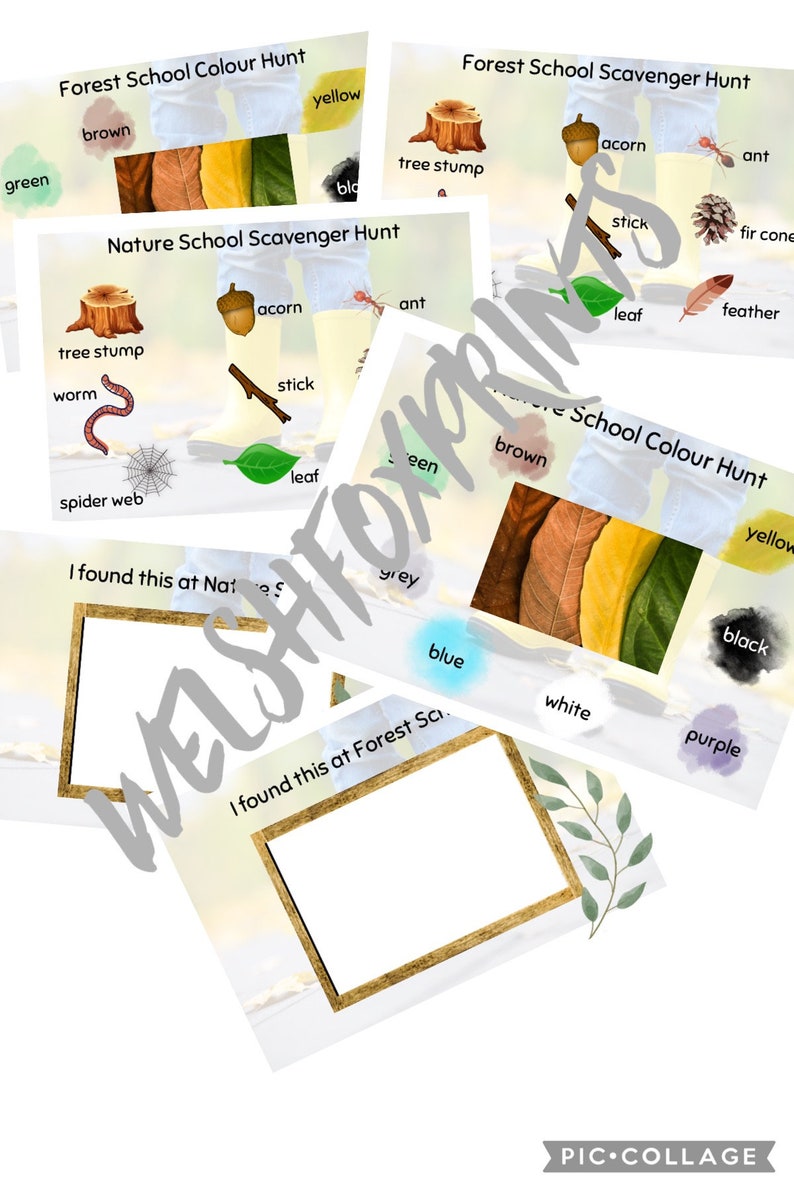 Forest School Printables Scavenger Hunt and Colour Hunt I Found Sheet ...
