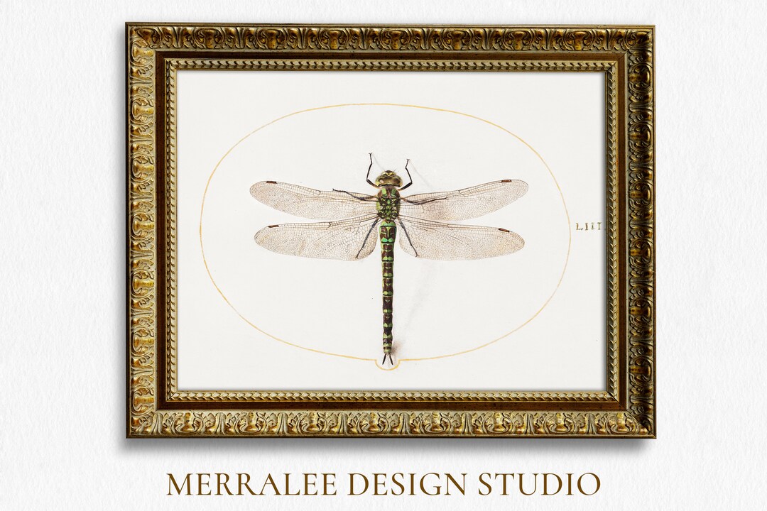 Vintage Botanical Dragonfly Digital Art Print | Downloadable Art ...
