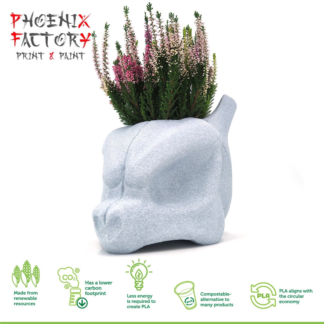 Planter Big Size Pokemon Mewtwo Cracking Poke-planter / Mewtwo Skull ...