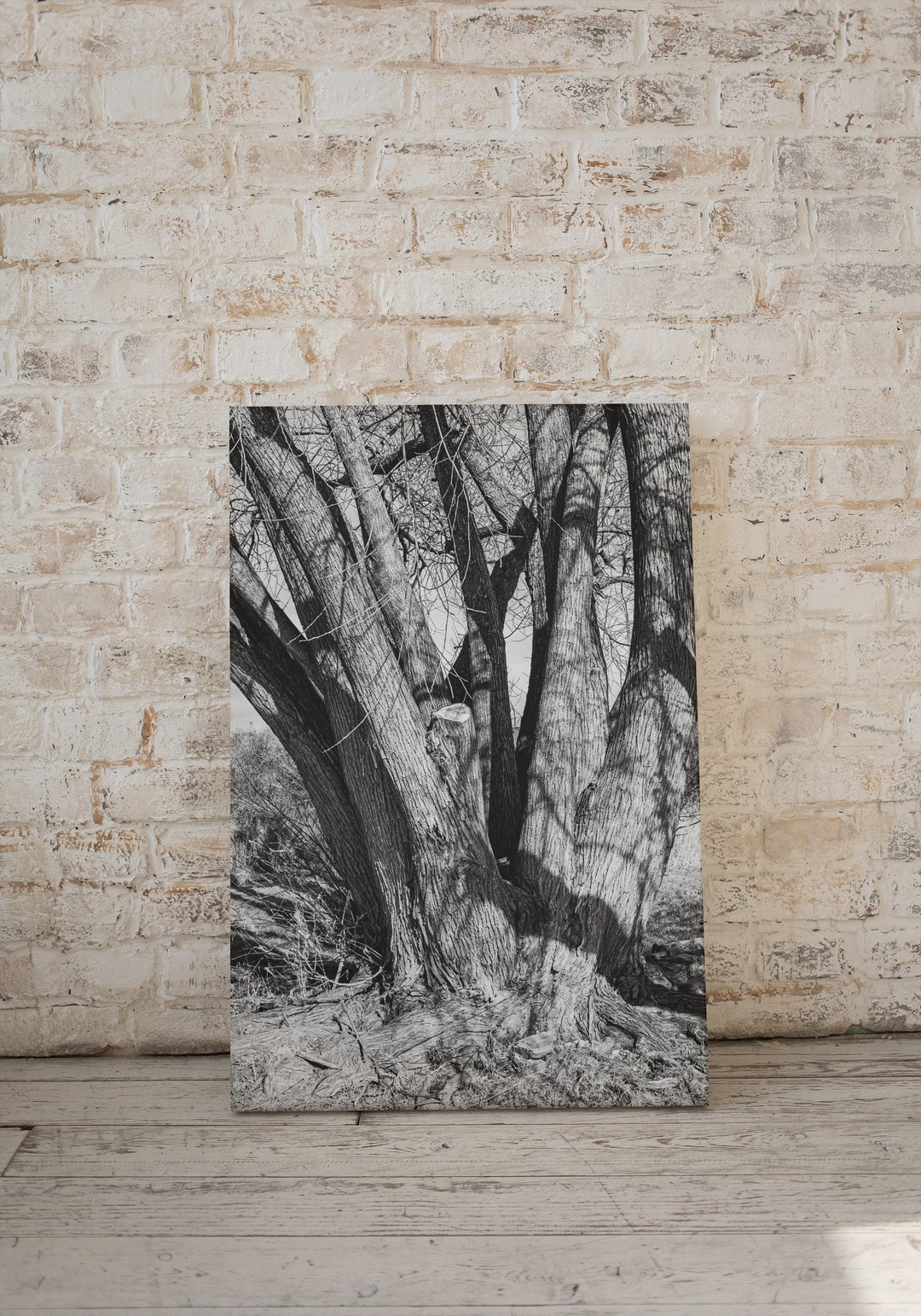 Black and White Tree Photo Download - Spring Garden Photography ...