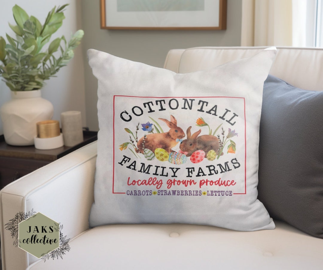 Cottontail Spring Produce Pillow Outfit, Pillow Cover, Farmhouse Decor ...