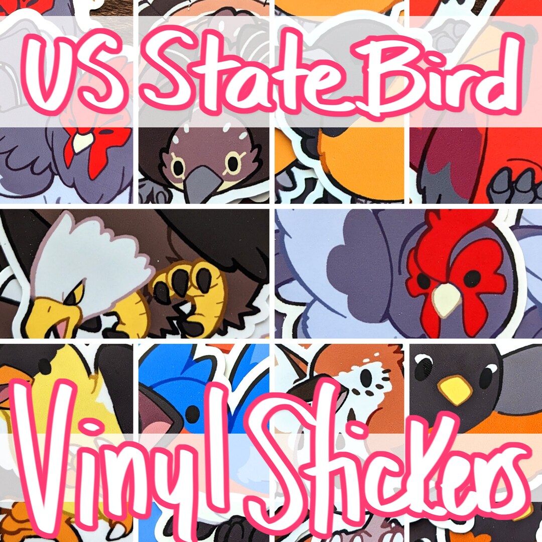 Vinyl Stickers - US State Birds - Etsy