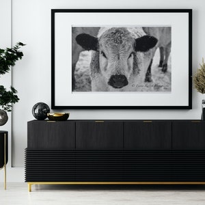 Printable Cow Photo, Winter, Landscape, Instant Digital Download, Print ...